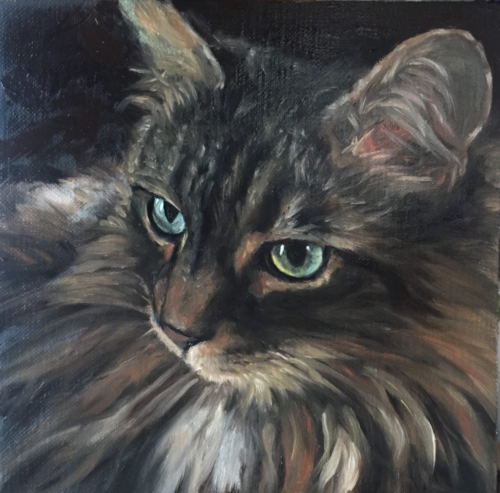 Painting A Cat In Oil Featuring Prescott, A Gorgeous Maine Coon
